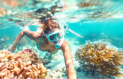 Snorkeling in Anna Maria Island | The 3 Famous Spots